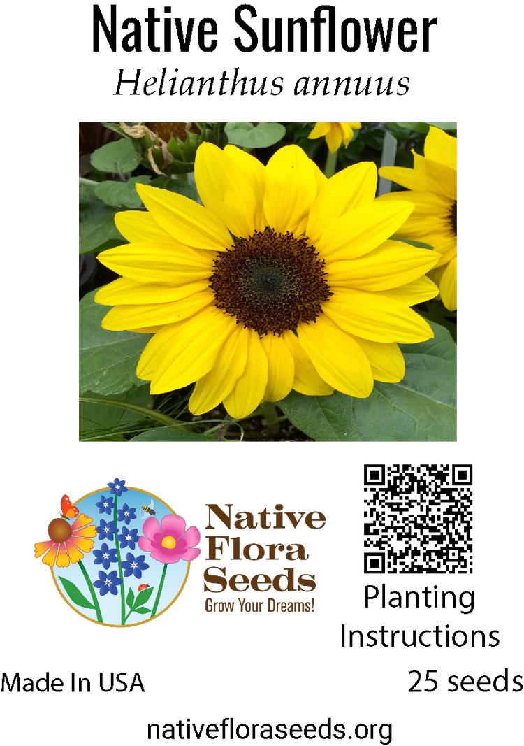Native Plants Flora Seeds – NativeFloraSeeds.org