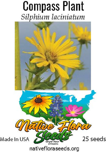 Virginia – NativeFloraSeeds.org