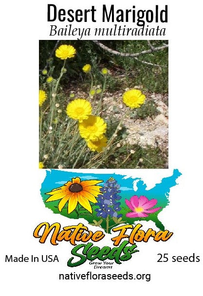 Desert Marigold – NativeFloraSeeds.org