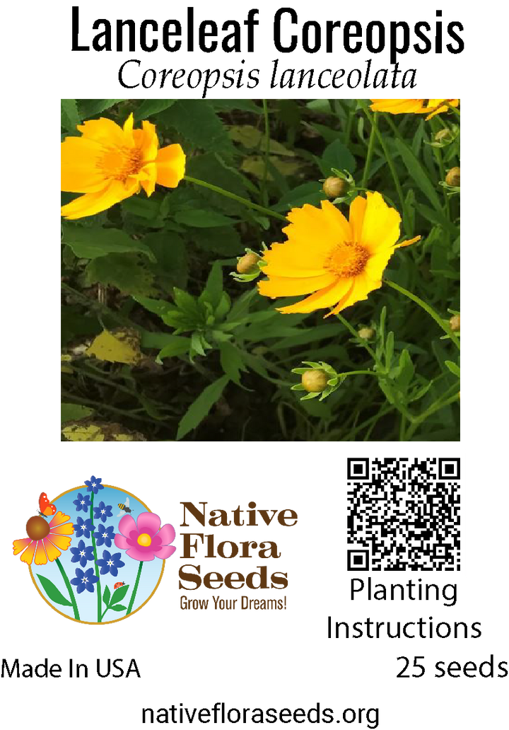 Native Virginia Plants & Wildflower Seeds - Old Dominion Flora ...