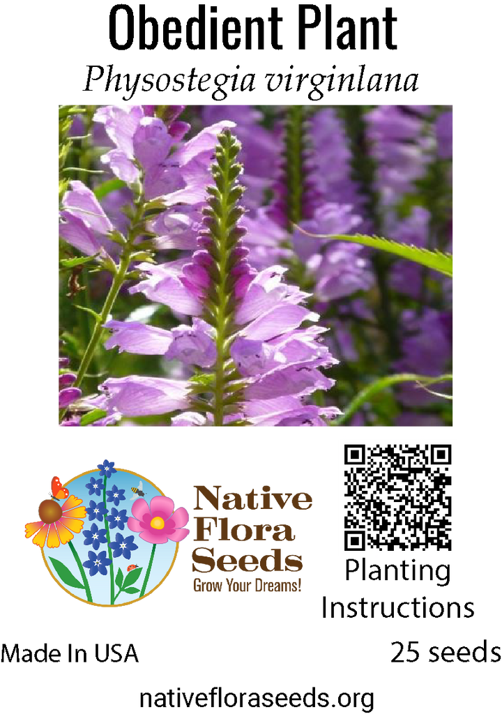 Native Virginia Plants & Wildflower Seeds - Old Dominion Flora ...
