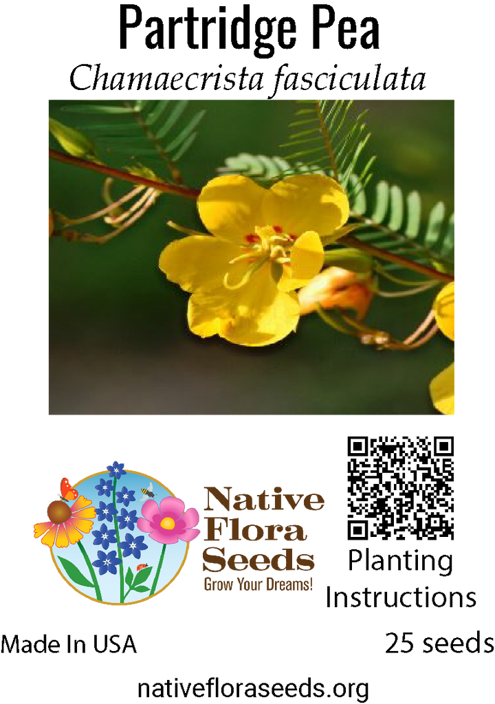 Native Virginia Plants & Wildflower Seeds - Old Dominion Flora ...