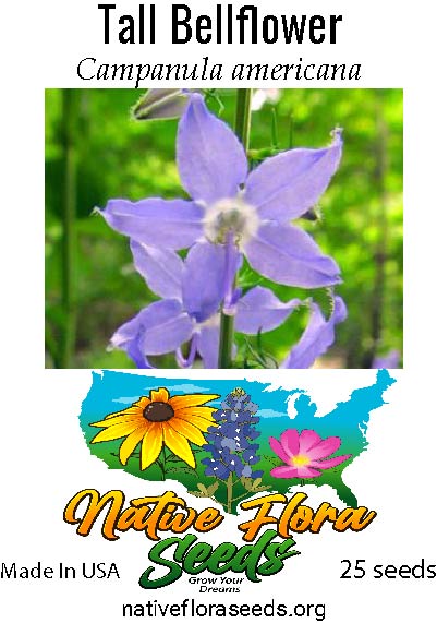 Tall Bellflower – NativeFloraSeeds.org
