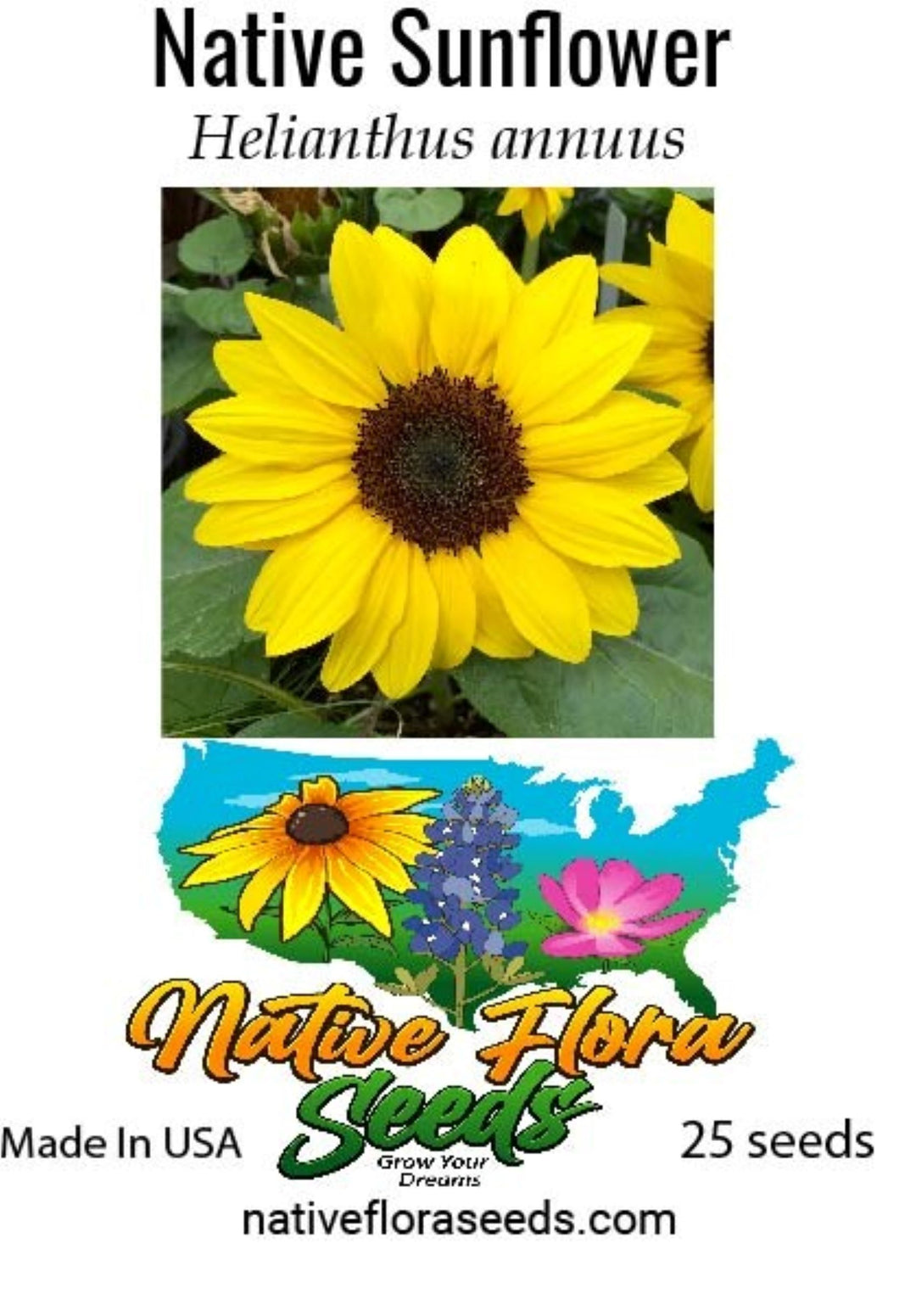Native Sunflower – NativeFloraSeeds.org